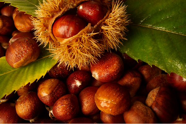 Frozen Chinese chestnuts enter the market just as conditions improve