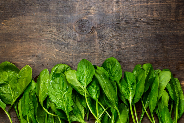 Best Practices for Processing IQF Spinach